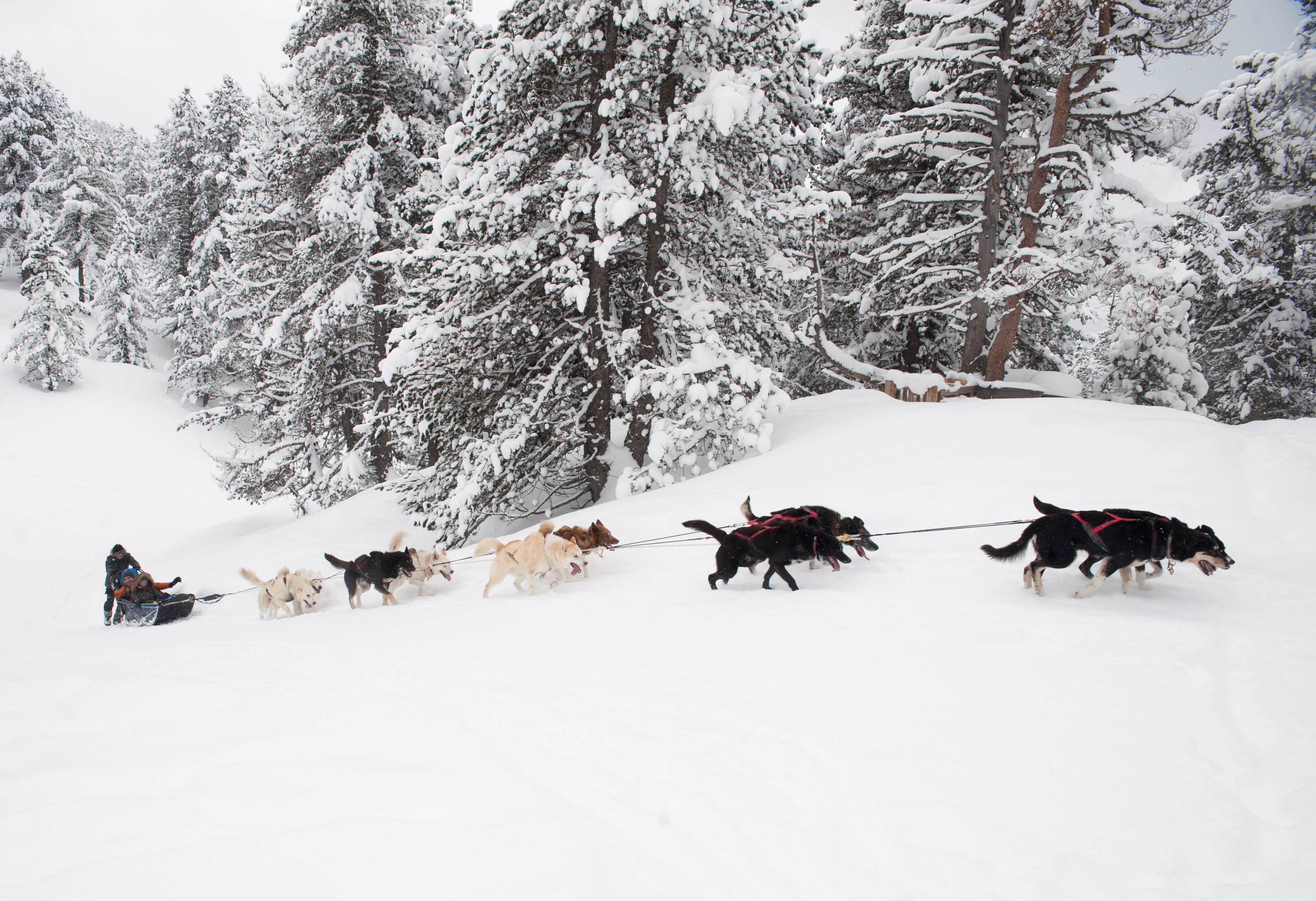 Évasion nordique - Angaka - Ariège, France