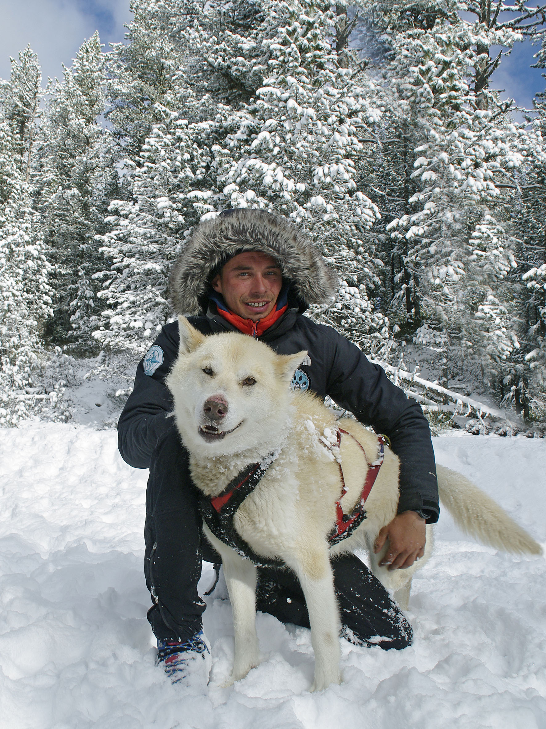 Visite au cœur de la meute - Angaka - Ariège, France